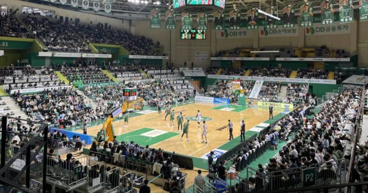 ‘입장 수익 첫 100억’…농구 인기 살아났다 [KBL]