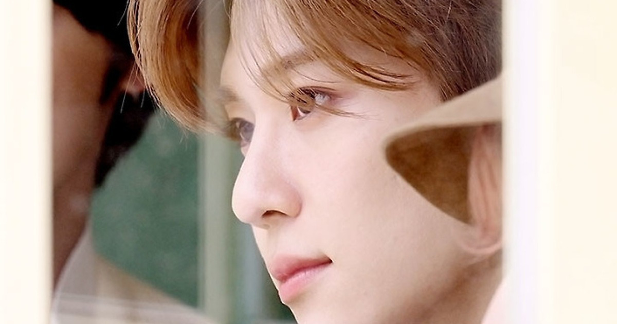 Mhn포토 라이즈 원빈 절친 Nct Wish 시온 잘생긴 애들끼리 친하네