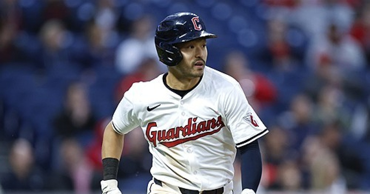 White Sox Guardians Baseball