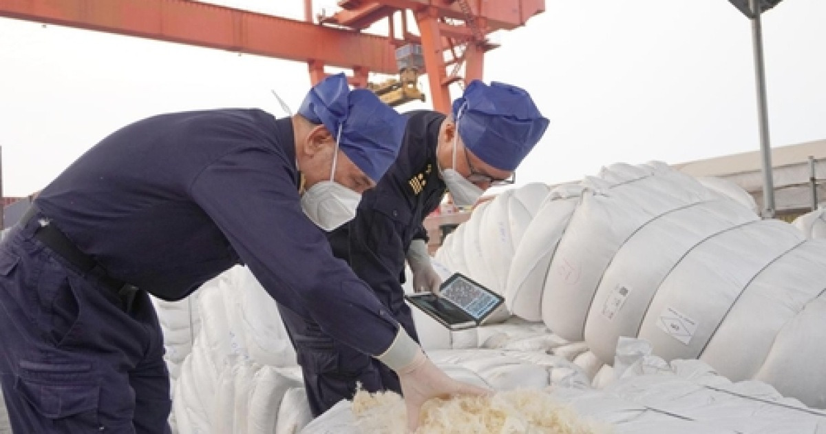 [AsiaNet] China's First Batch of Goods Cleared Customs in Guangxi