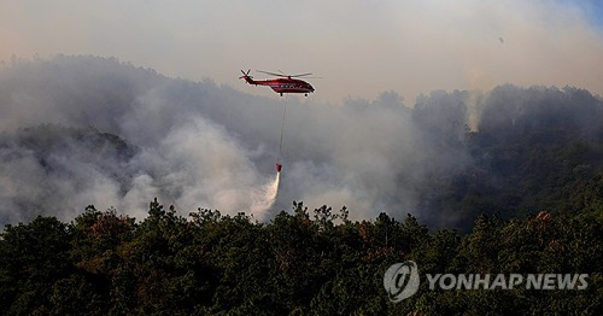 CHINA FOREST FIRE
