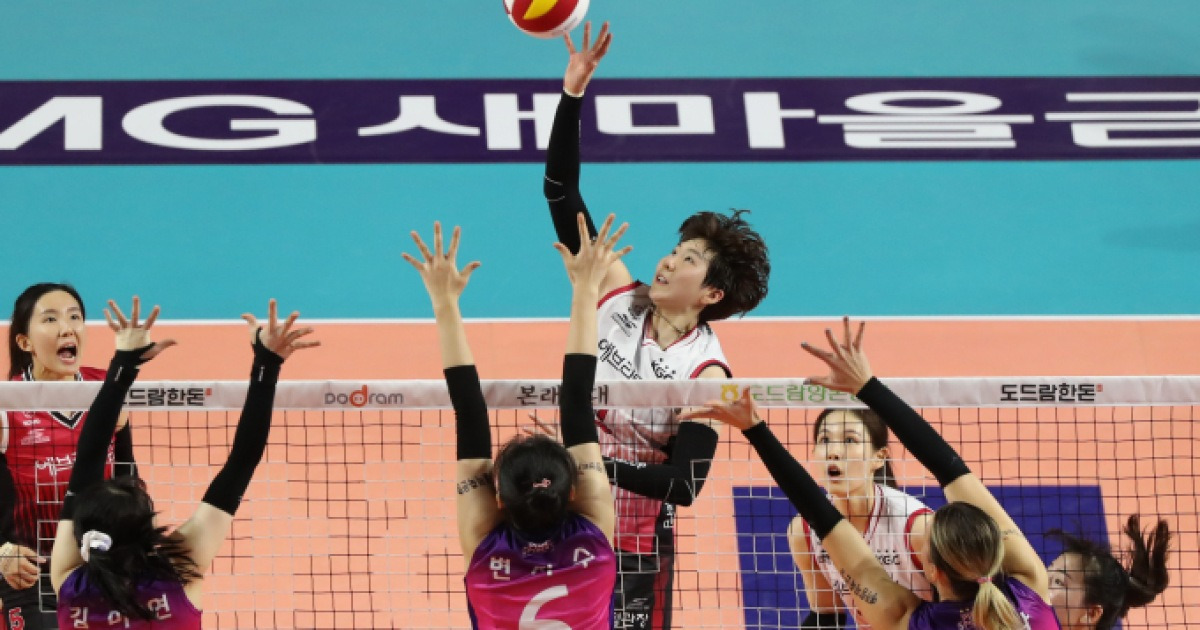 여자 배구, FA '최대어' 연쇄 이동… IBK 기업은행 '우승 후보' 도약