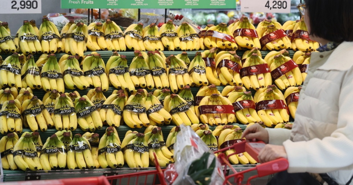 한·칠레 FTA 20년···농식품 교역규모 3배 늘었지만 농가 수는 급감