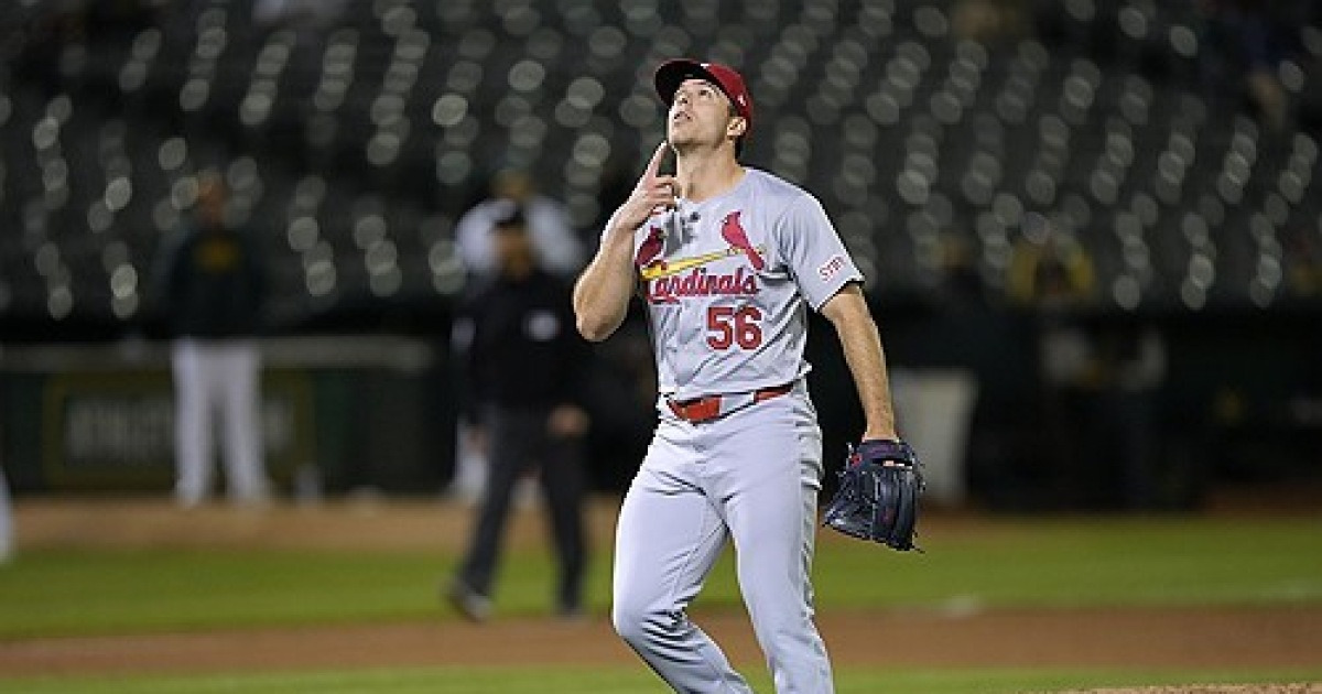 Cardinals Athletics Baseball
