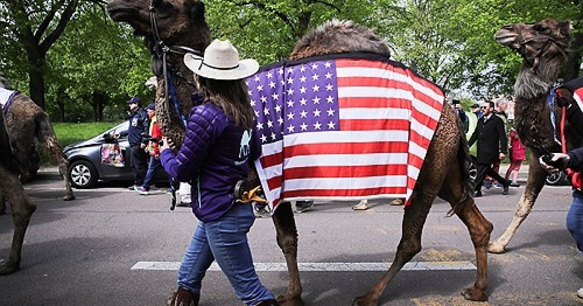 FRANCE CAMEL PARADE