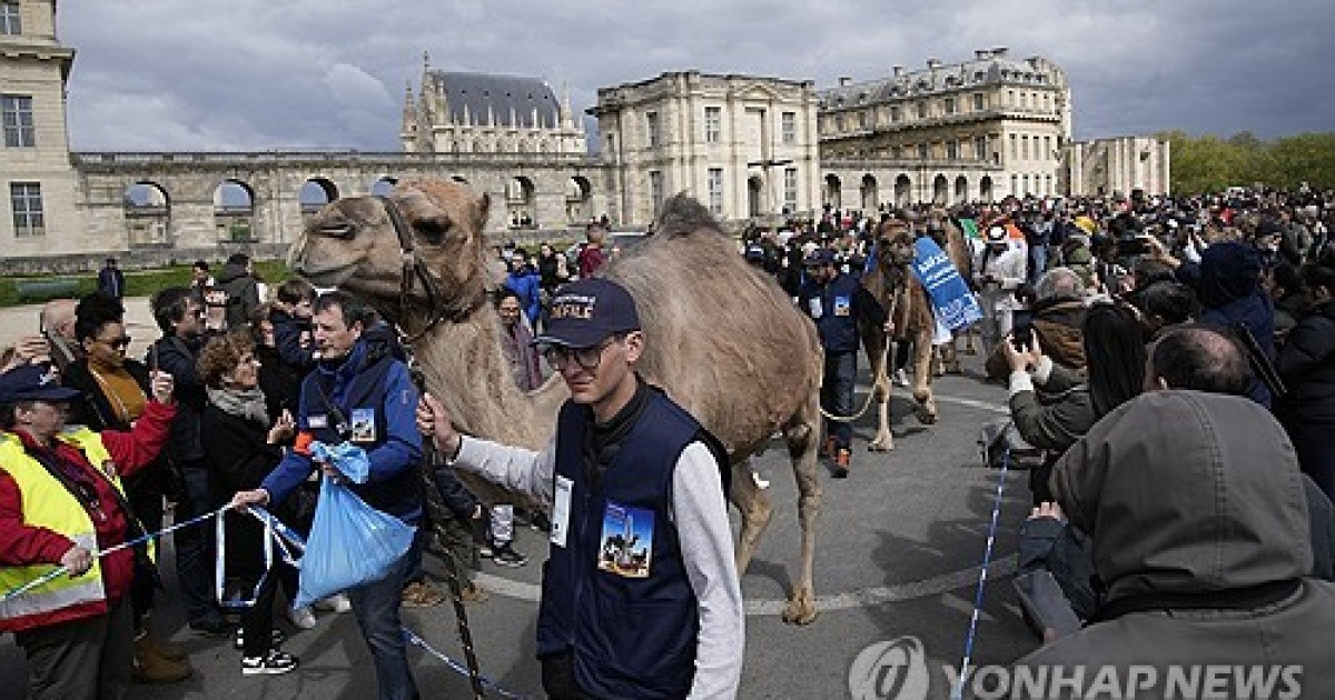 France Camel Parade