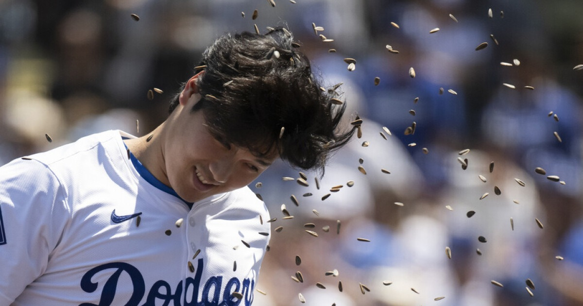 ‘176호 홈런’ 오타니, 마쓰이 넘었다…추신수 기록까지 42개 남아