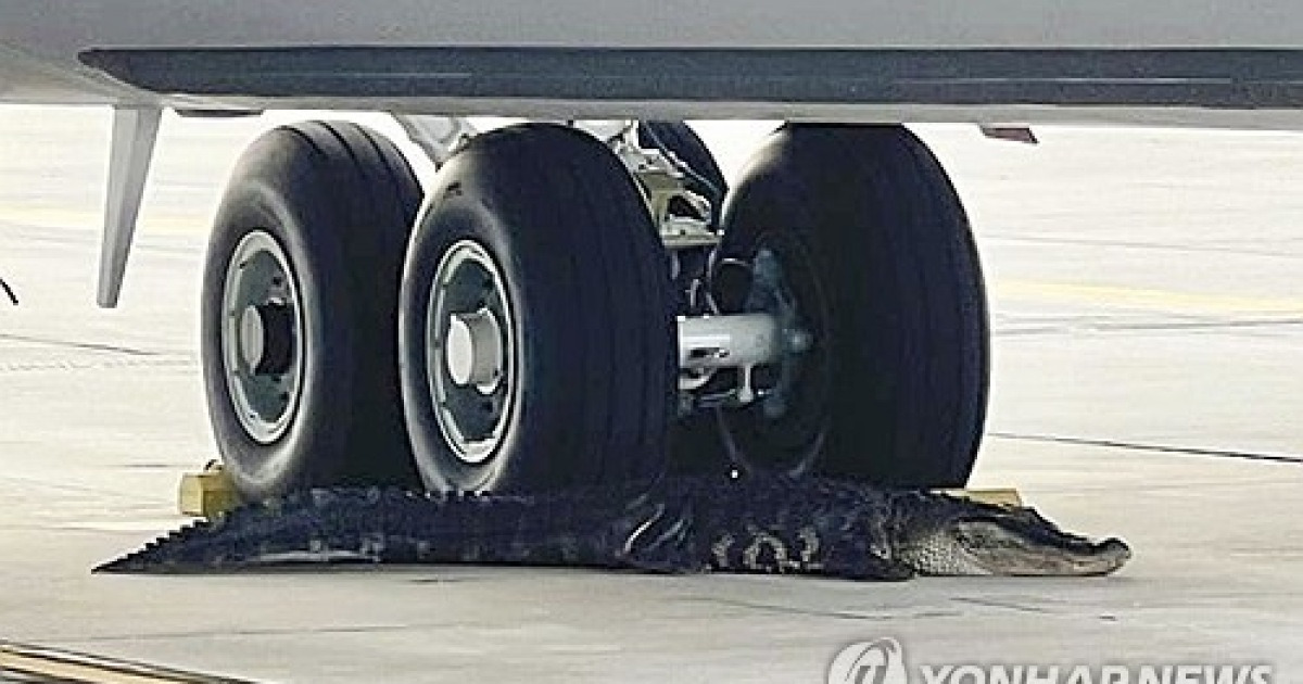 Alligator Air Force Base