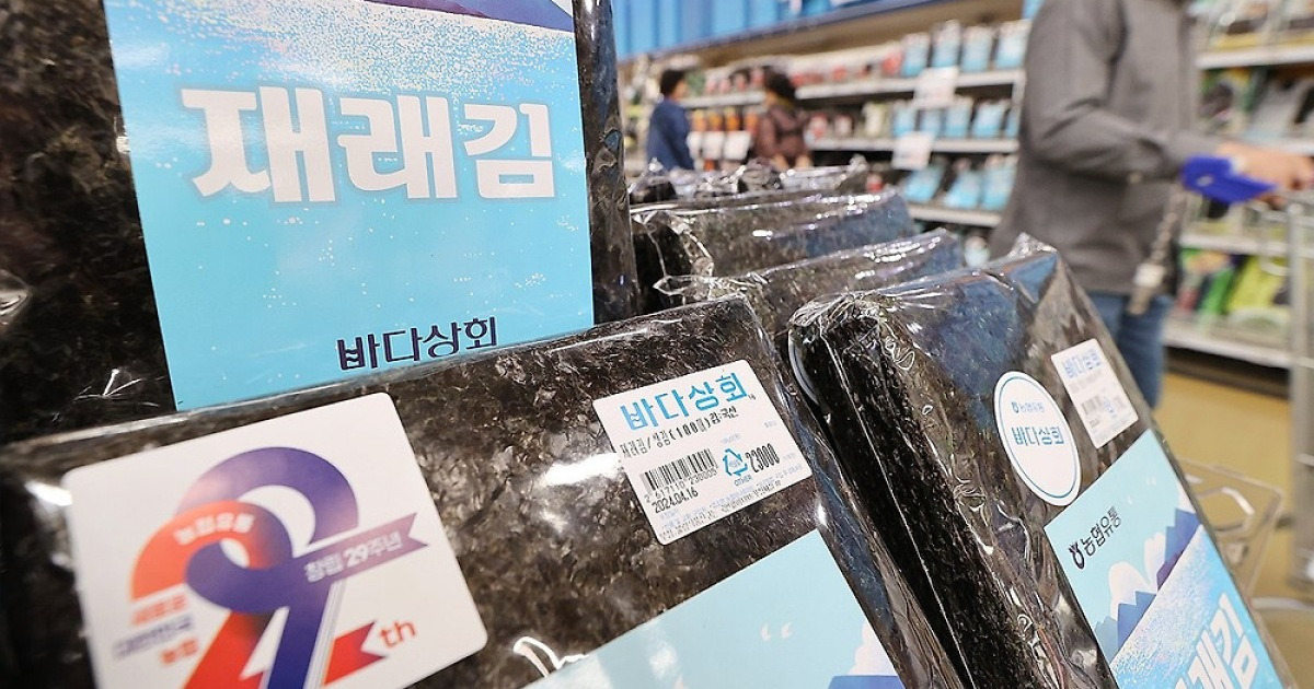축구장 3천800개 넓이 김 양식장 신규 개발…계약재배 검토