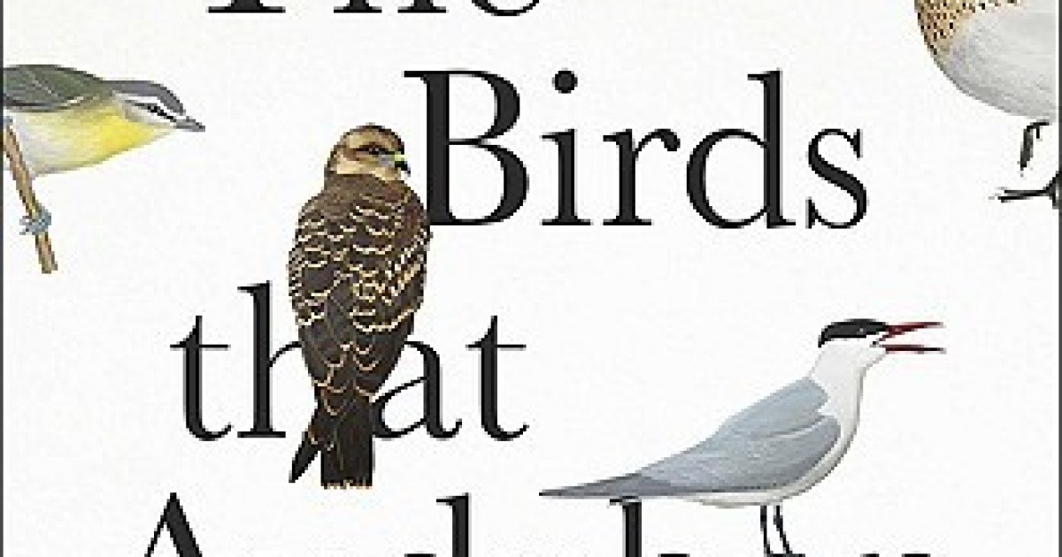 Book Review - The Backyard Bird Chronicles