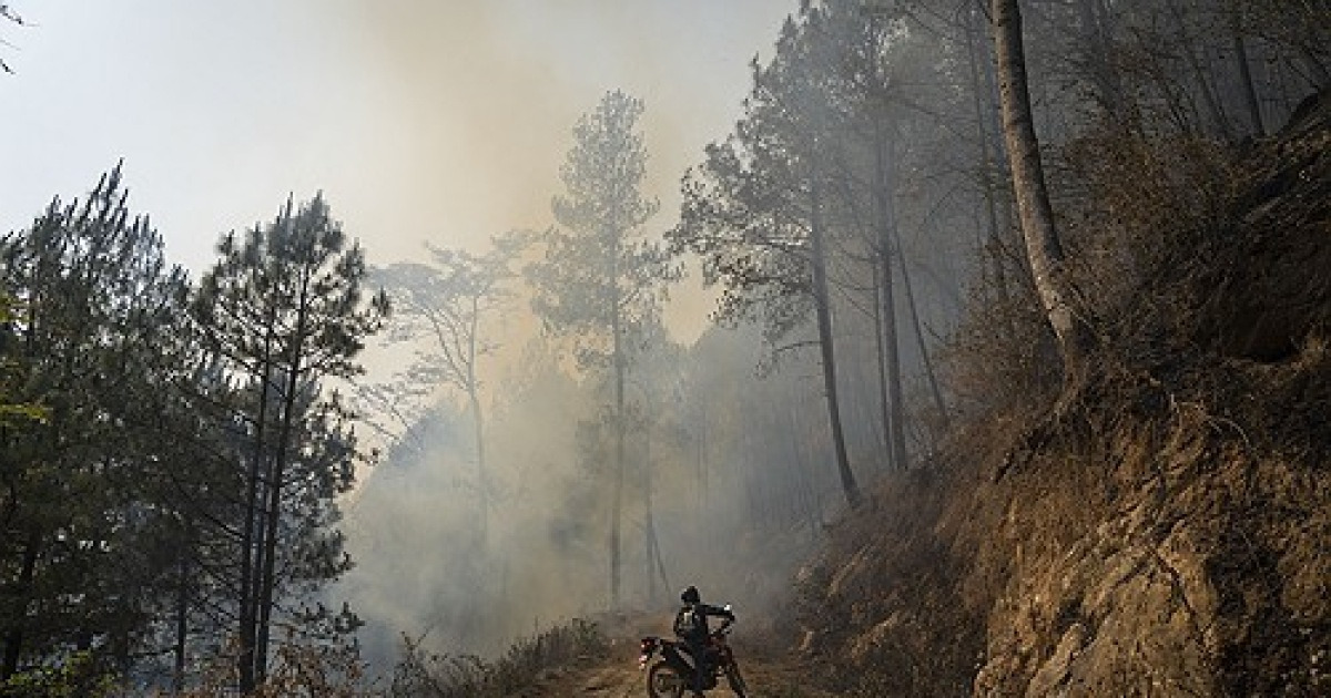 Nepal Forest Fire