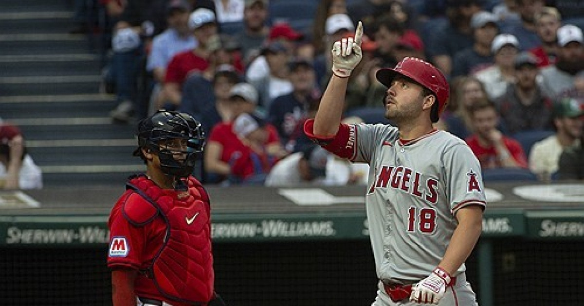 Angels Guardians Baseball