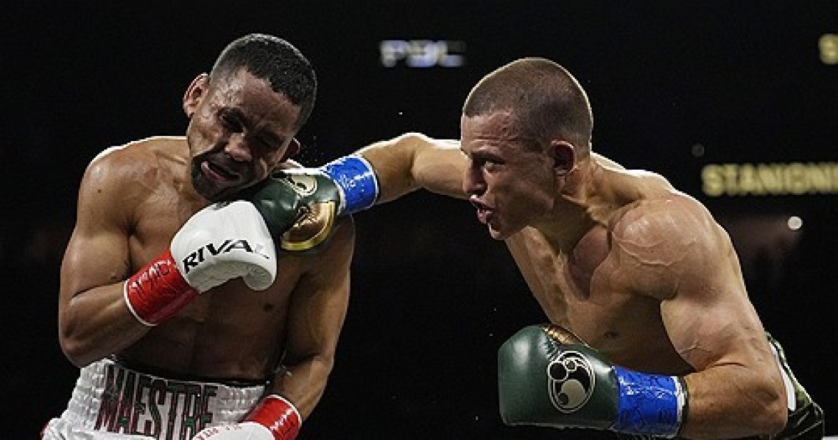 Stanionis Maestre Boxing