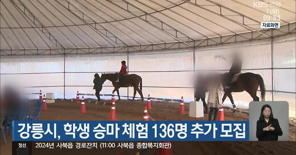 강릉시, 학생 승마 체험 136명 추가 모집