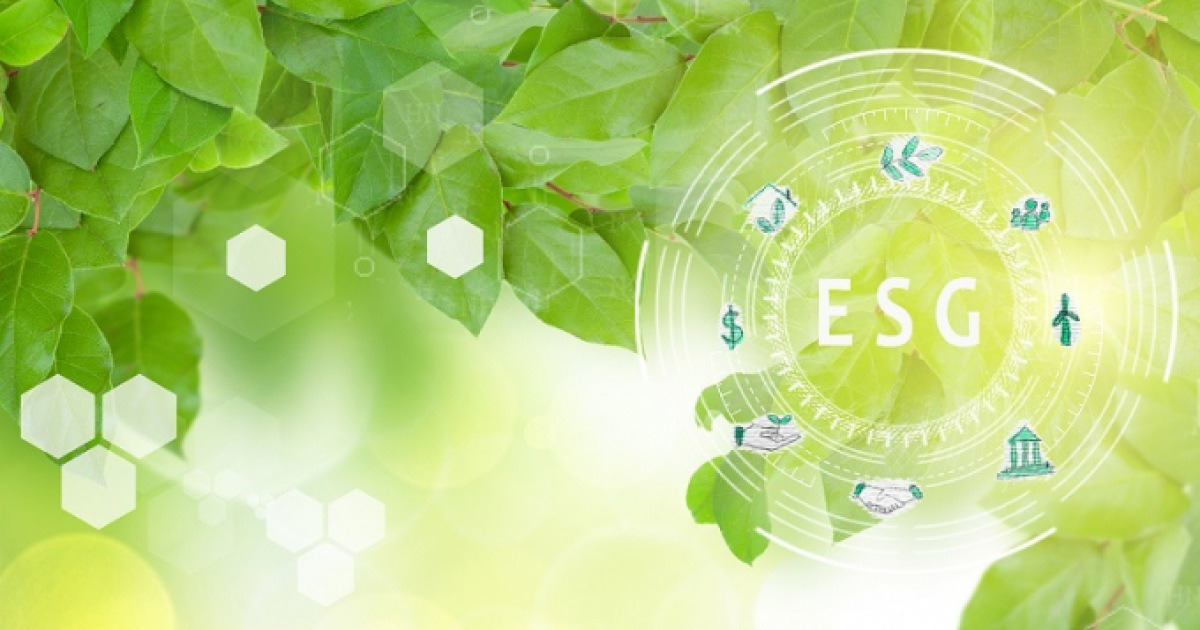 [2024 ESG어워드] 2026년 ESG 공시, 착한 금융사에 돈 몰린다