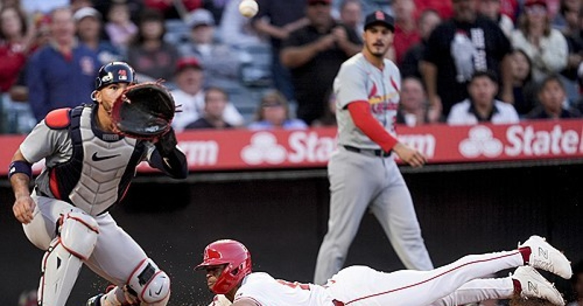 Cardinals Angels Baseball