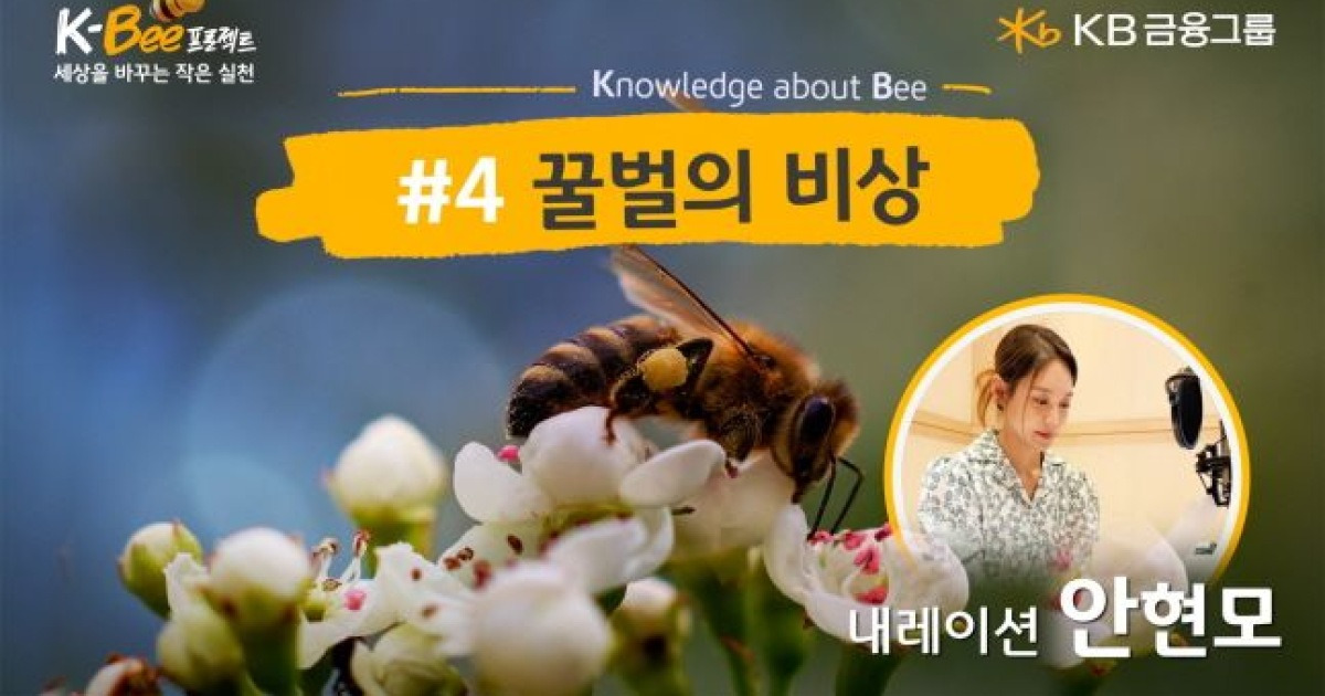 KB금융, 세계 벌의 날 맞아 K-BEE 프로젝트 새 영상 공개