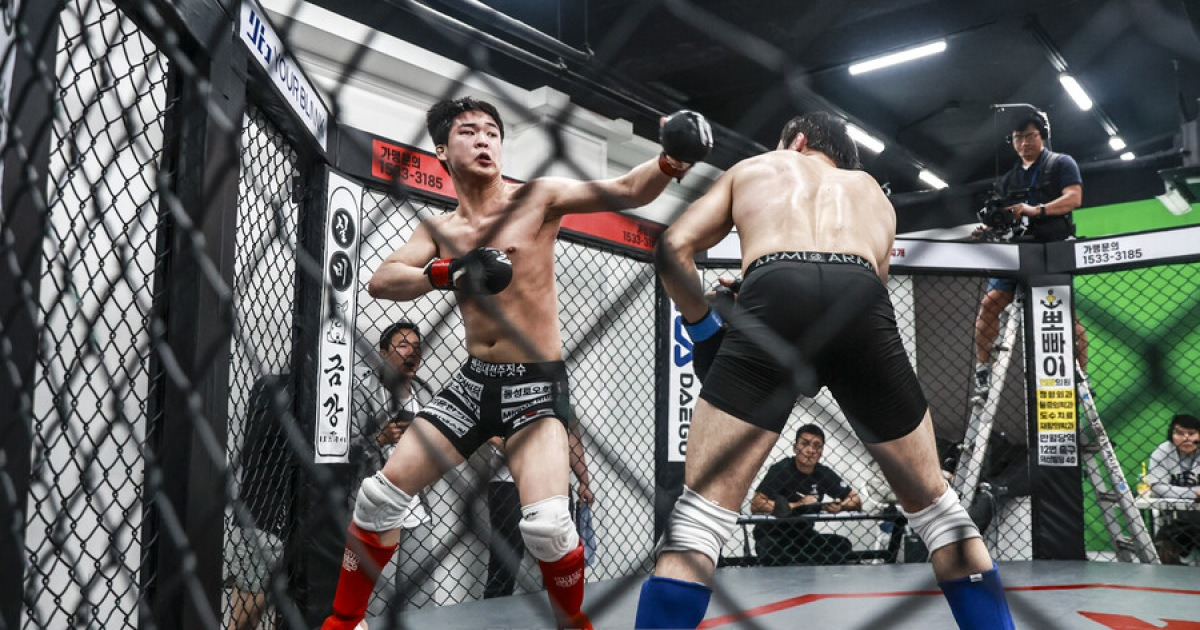 아마추어 MMA 단체 KMMA, 18번째 대회에서 페더급 챔피언 가린다