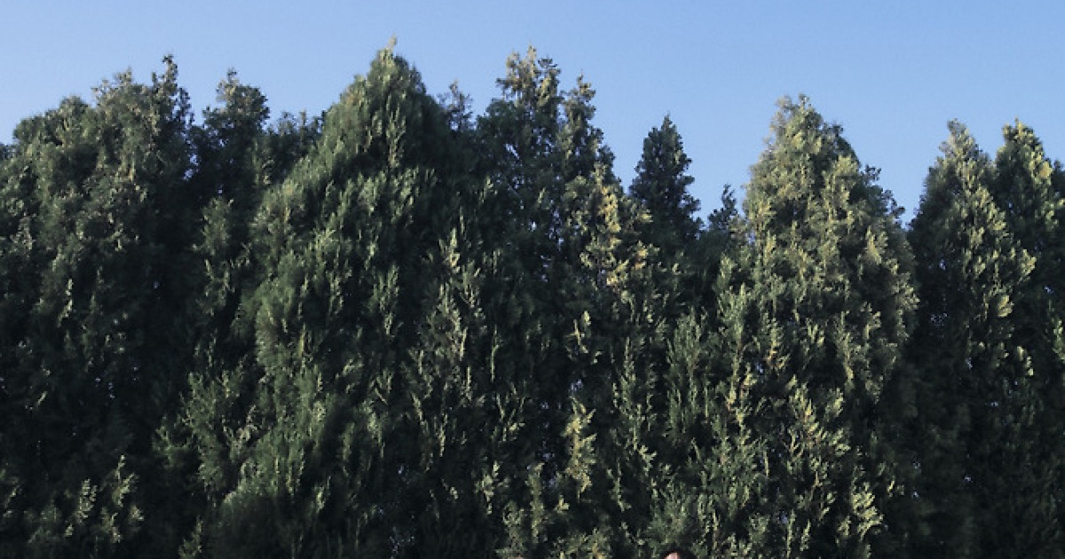 밴드 W24, 6월 3일 EP 앨범 발매…“여름 감성 가득 락 사운드”