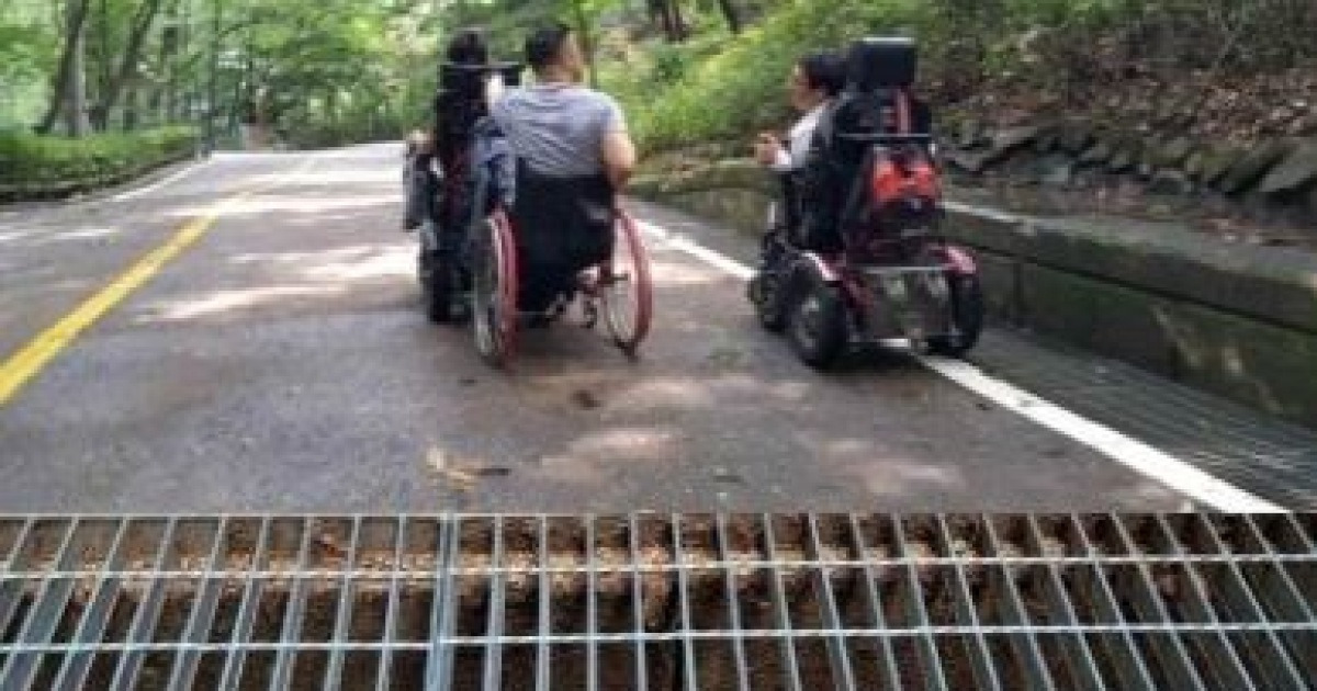 Barrier-free forest trails that people with disabilities cannot use