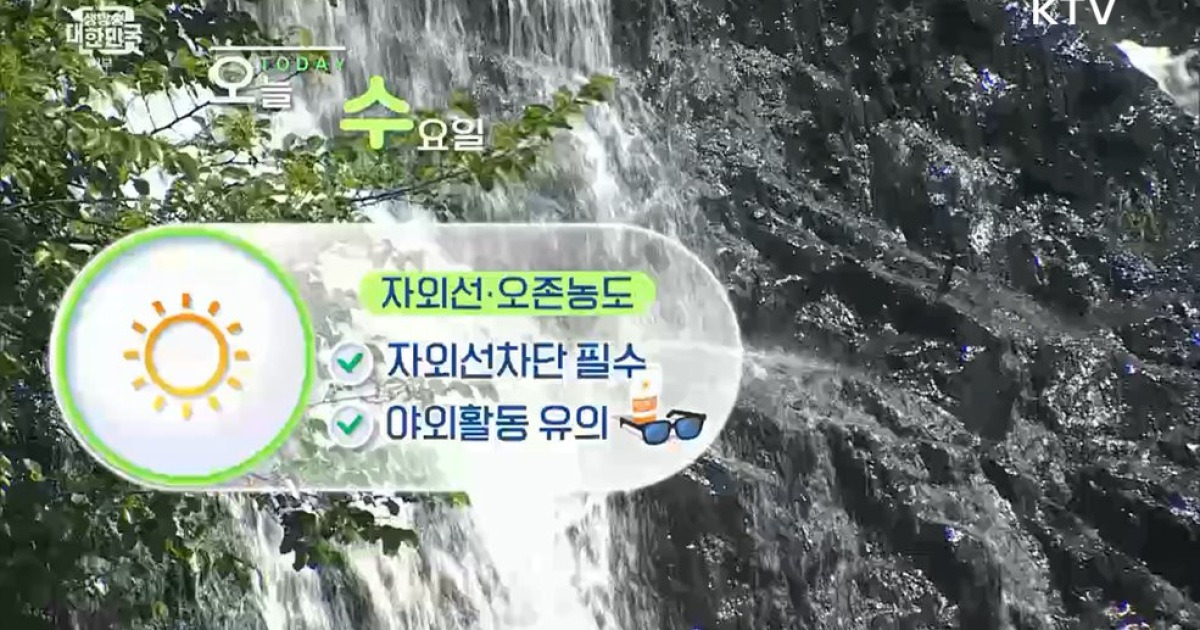 오늘의 날씨 (24. 05. 29. 10시)