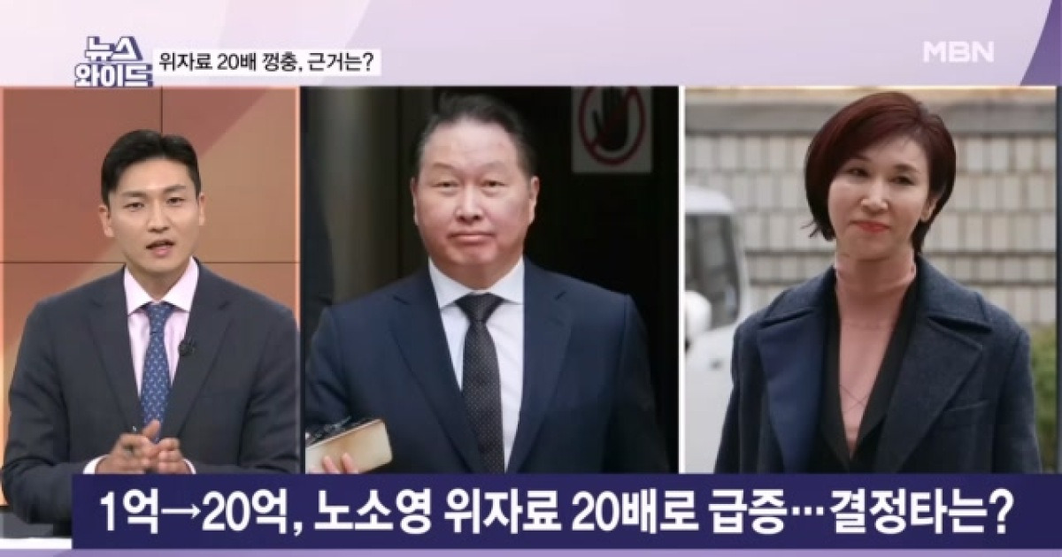 1억→20억, 20배 급증한 위자료…법원 증액 판결의 사유는? [뉴스와이드]