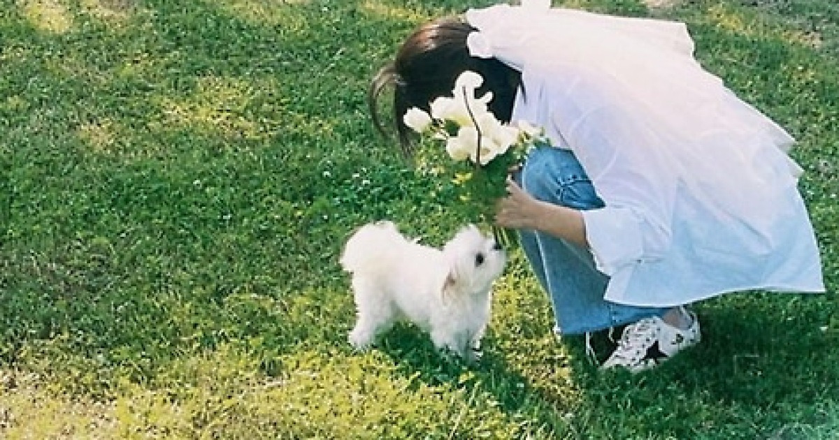 Exid 하니 10살 연상♥ 의사 양재웅과 결혼…함께하고 싶은 사람[ten이슈]