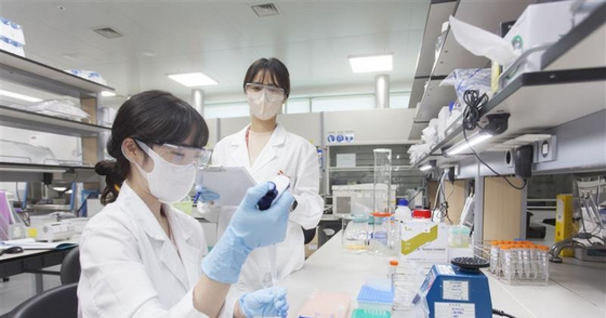 SK bioscience banks on shingles vaccine as market gap opens and summer ...