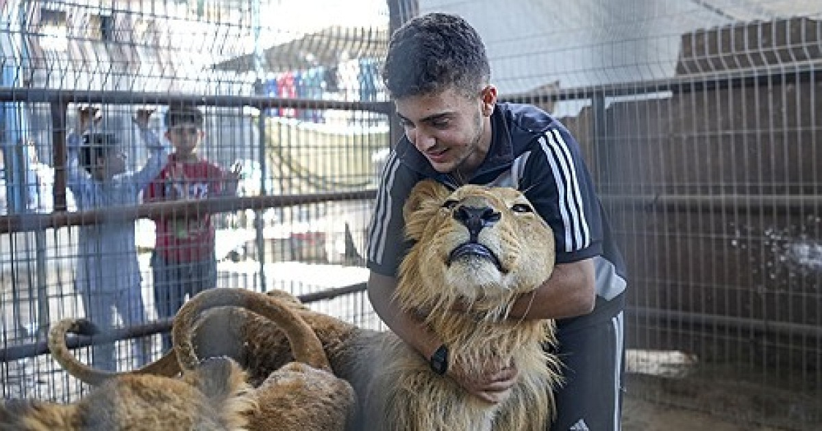 APTOPIX Israel Palestinians Gaza Zoo