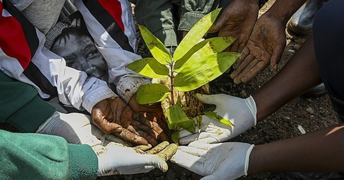 KENYA WORLD ENVIRONMENT DAY
