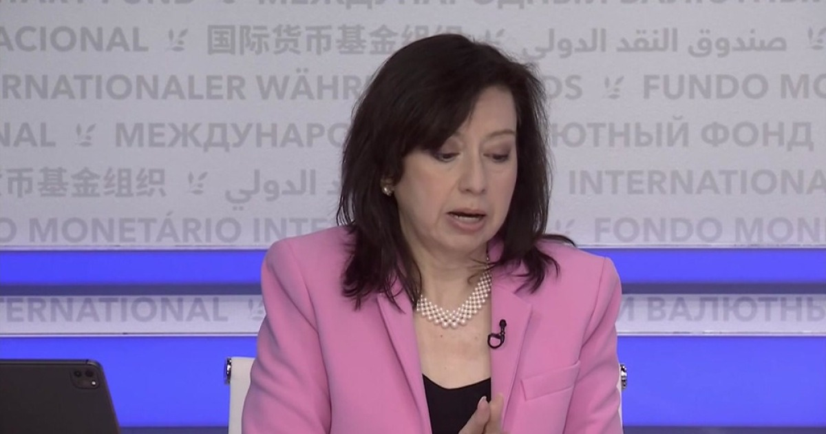 IMF 대변인 "ECB 금리인하 적절...미국은 신중히 접근해야"