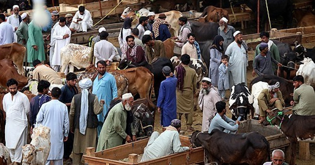 PAKISTAN EID AL ADHA ISLAM BELIEF