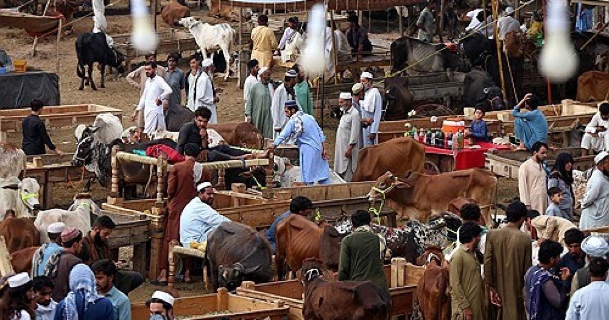 PAKISTAN EID AL ADHA ISLAM BELIEF