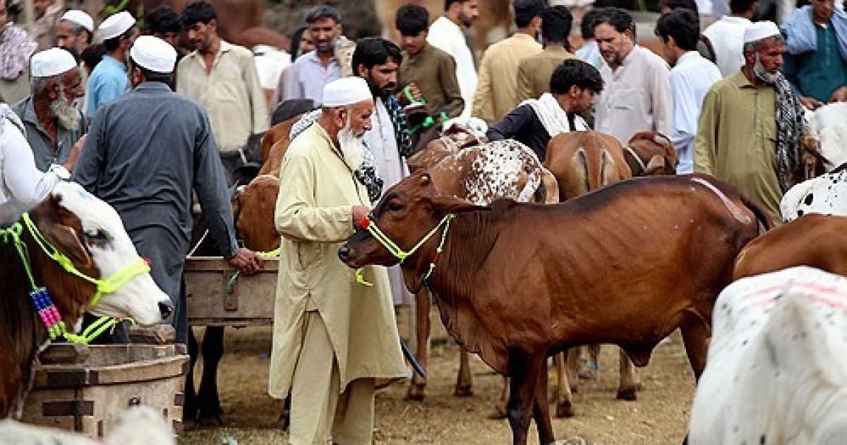 PAKISTAN EID AL ADHA ISLAM BELIEF