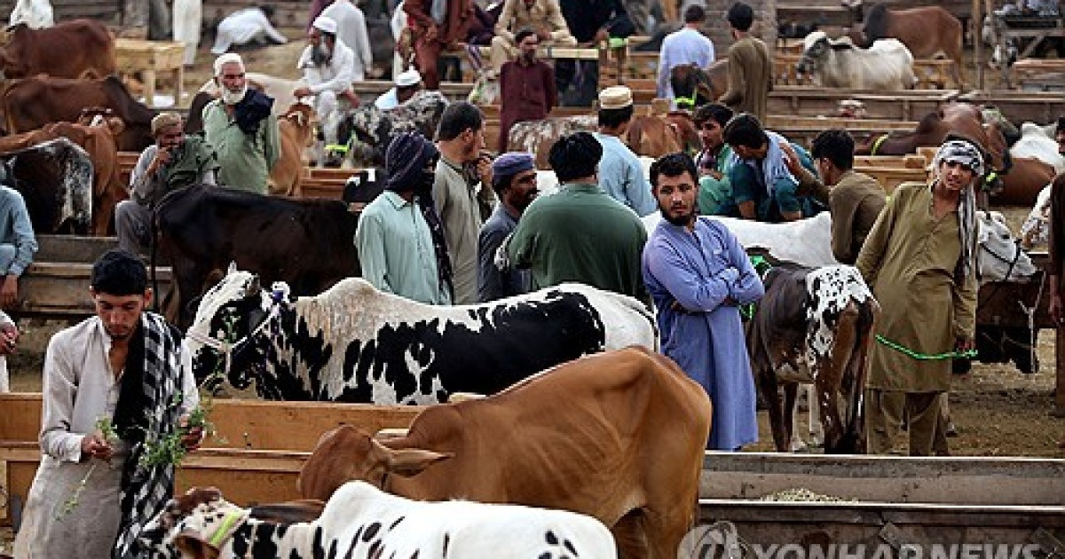 PAKISTAN EID AL ADHA ISLAM BELIEF