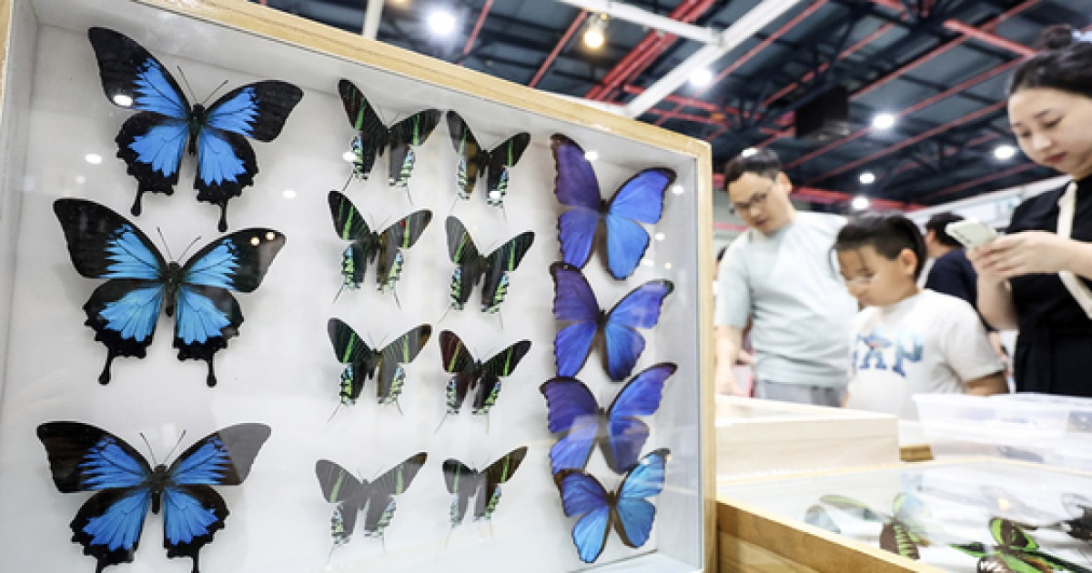 Pet Insect Competition takes flight in SETEC