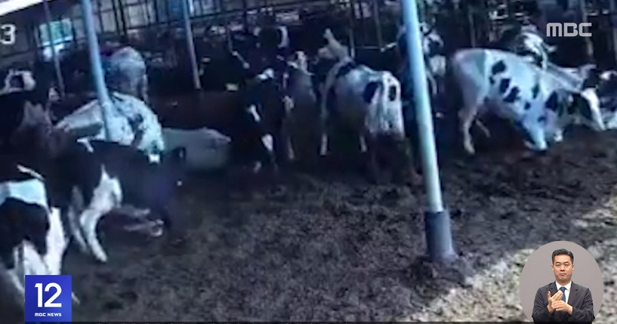 올들어 최대 규모‥전북 일대 첫 4.0이상 강진