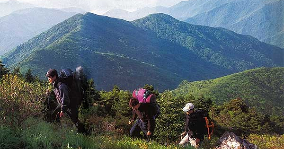 [창간 55주년] 지금은 출입 통제된 지리산의 숨은 두 능선