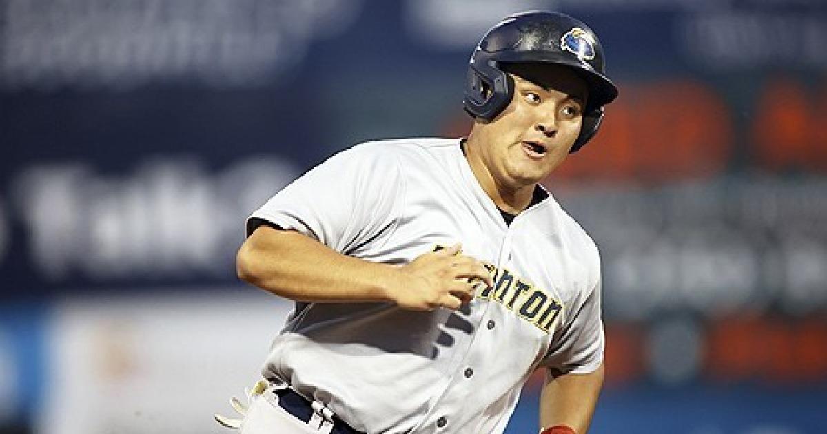 Stanford Japanese Slugger Baseball