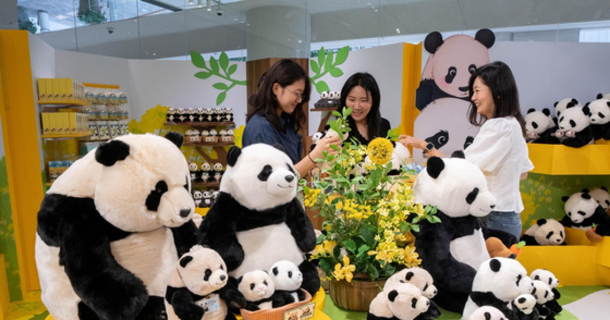 Panda-themed pop-up store draws crowds