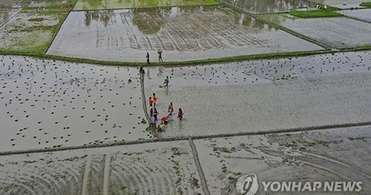 Climate India Monsoons