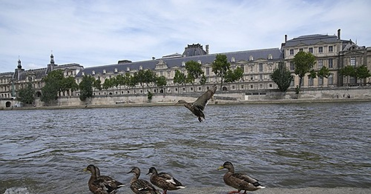 Paris Olympics Seine Bacteria