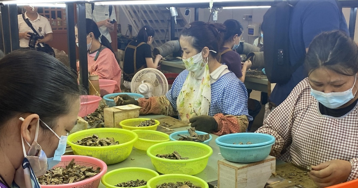 중국 7월 첫 경제지표 차이신PMI 51.8..8개월 연속 '확장'