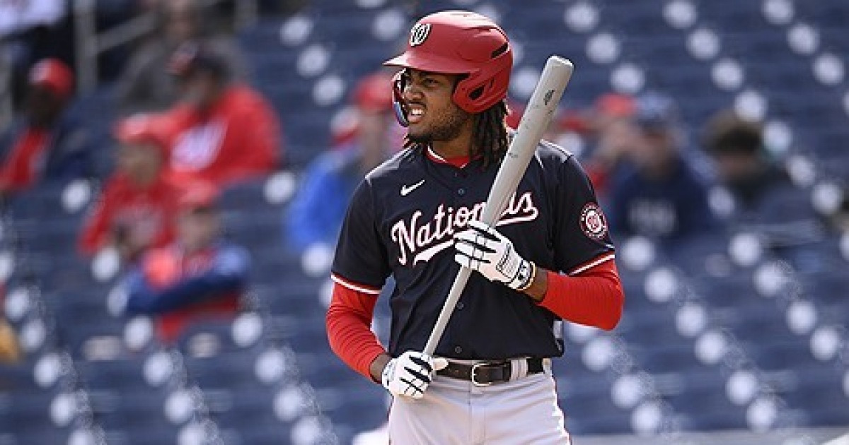 Nationals Wood Baseball