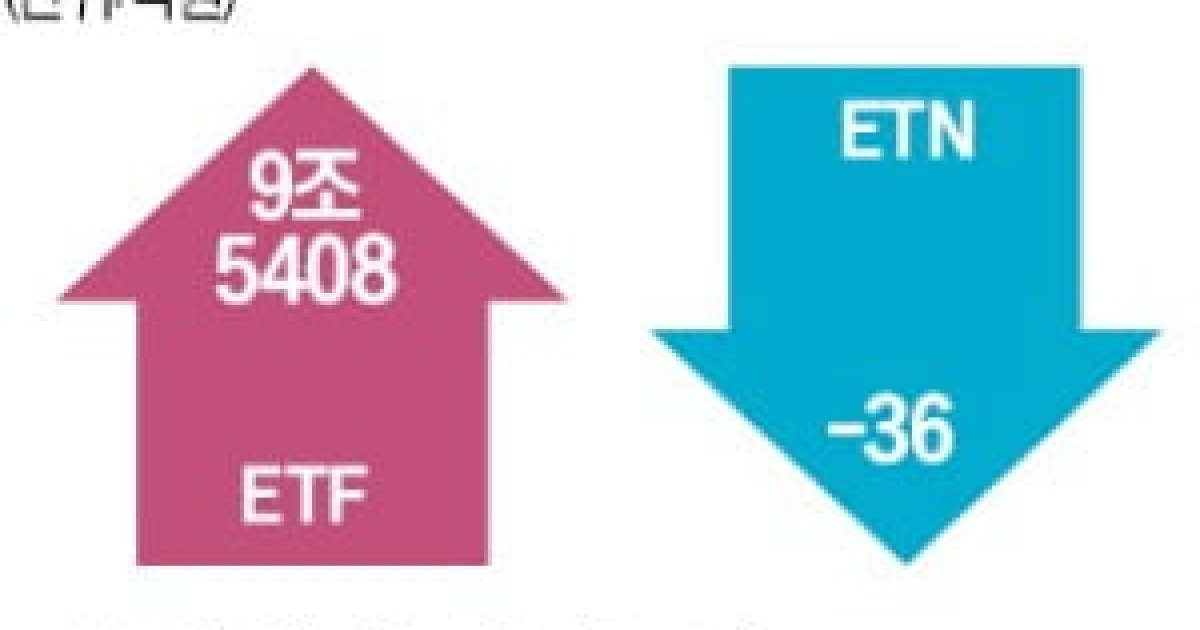 'ETF 열풍' 개인투자자 9조 베팅…ETN은 뒷전