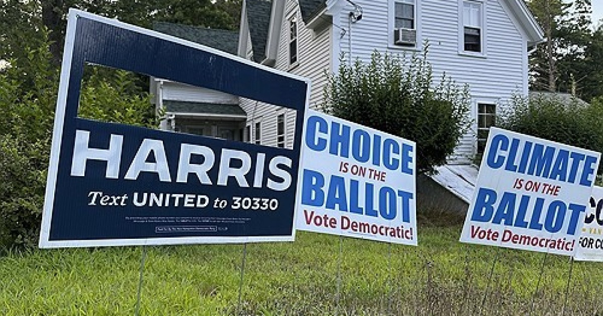 Election 2024 Voter Reaction