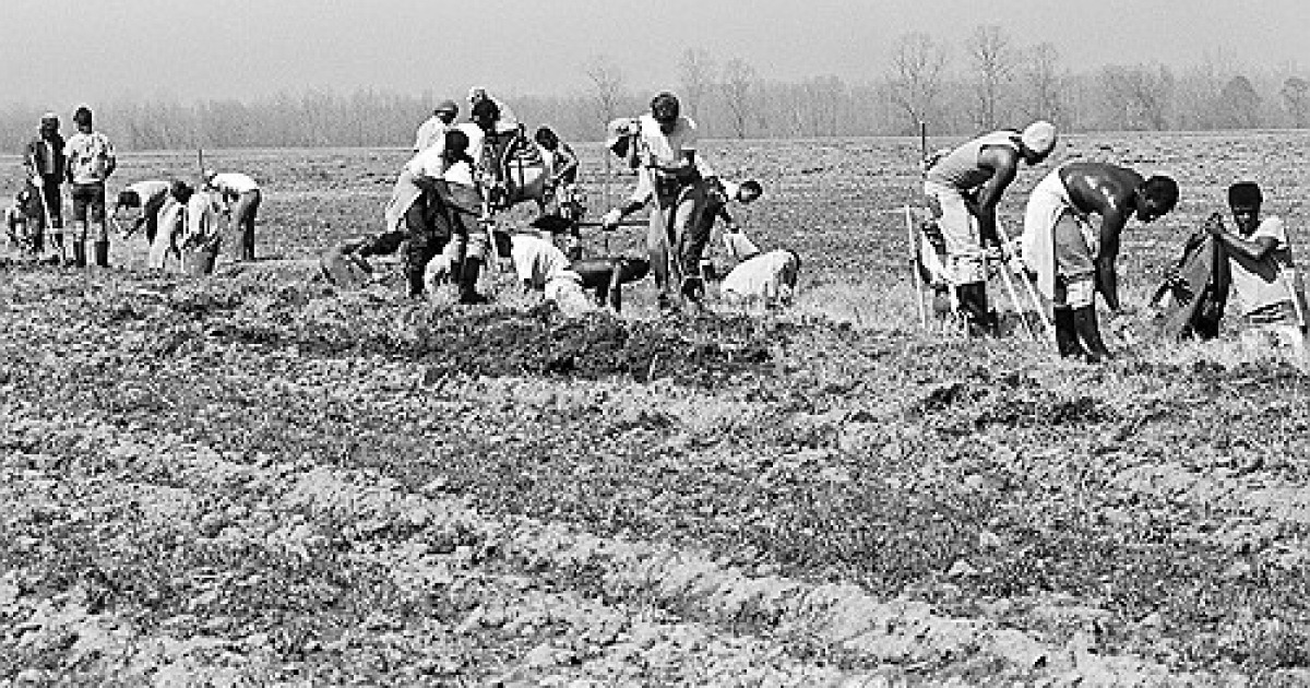 Prison to Plate Inmate Labor Heat