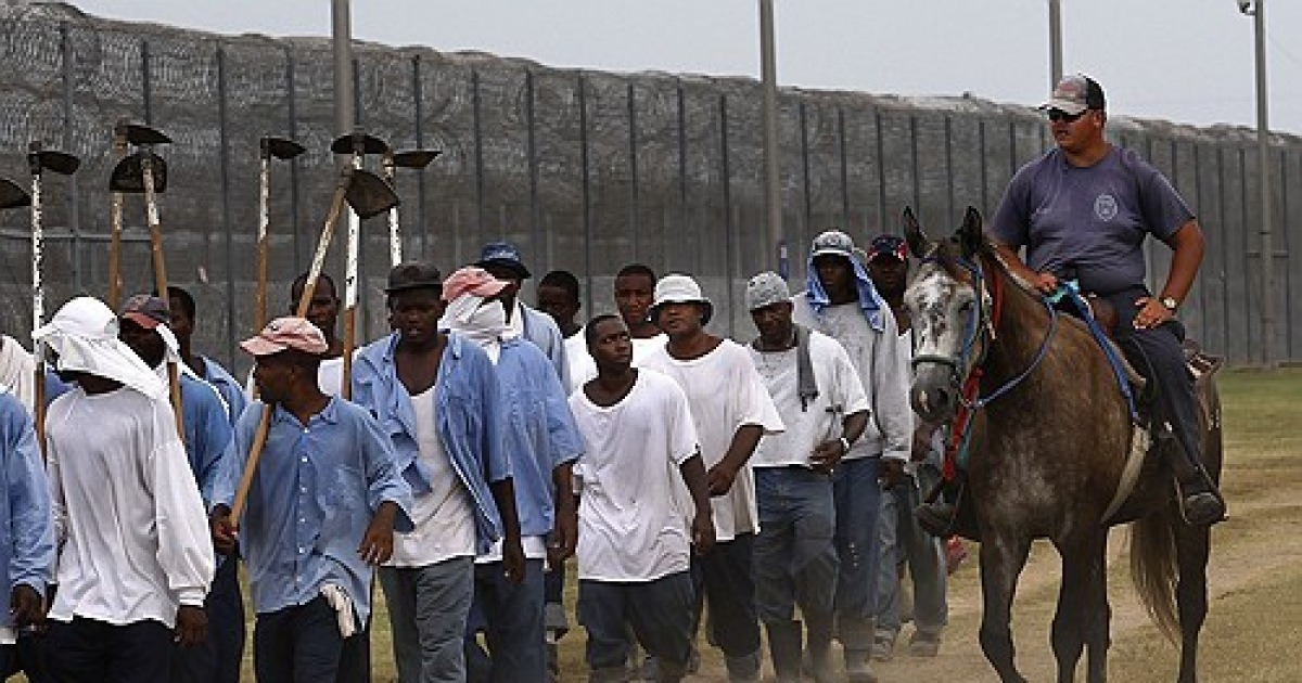 Prison to Plate Inmate Labor Heat