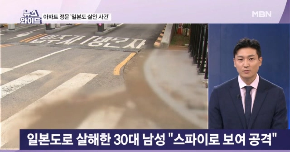 "스파이로 보였다" 이웃에 일본도 휘두른 남성…왜? [뉴스와이드]