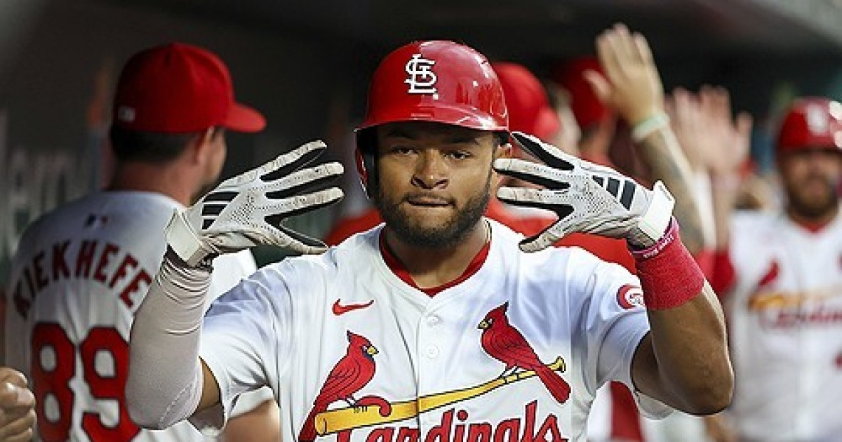 Rays Cardinals Baseball